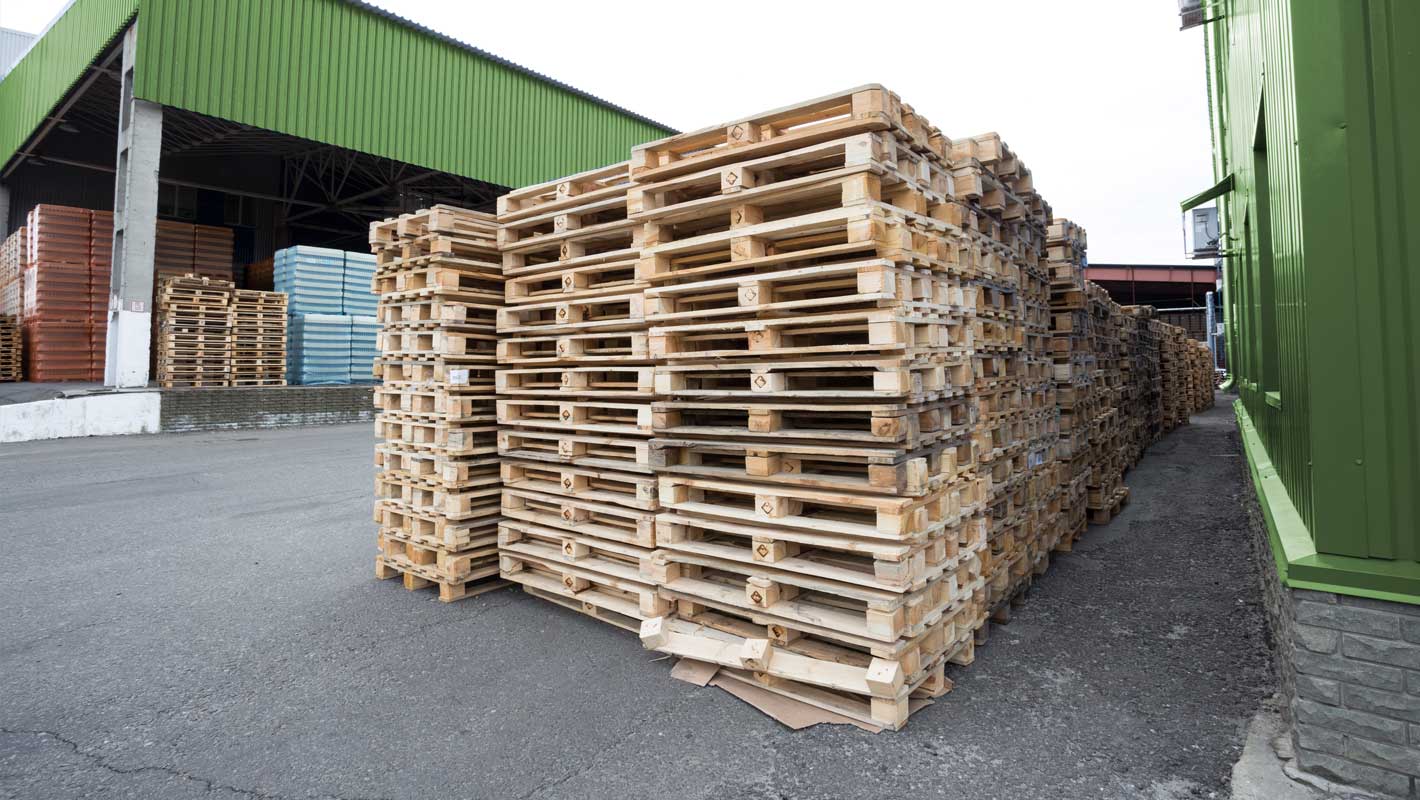 Pallets de madera | Proveedor de parihuelas y pallets